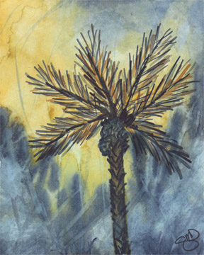 Sunset Shadows – Day 25 of 30 in 30 | Sheila's Corner Studio