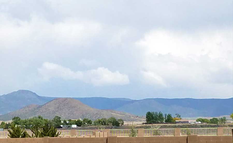 This Mingus Moment | Sheila's Corner Studio