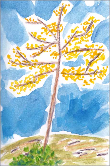 A Visit With Natasha | Sheila's Corner Studio