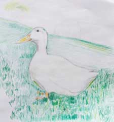 The 30-Day Creative Gathering Artists, February 2023 | Sheila's Corner ...